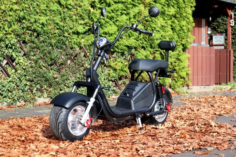Coco Bike E-Scooter mit Straßenzulassung CP5.1 - ca. 45km Reichweite ...